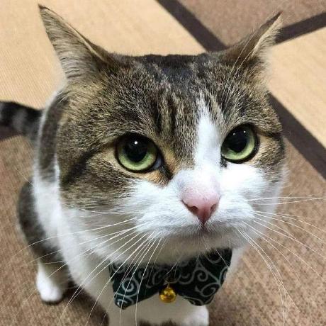 Mine Download Github