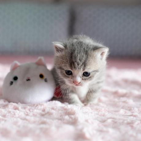 Namp12 Phﾆｰﾆ Ng Nam ﾂｷ Github