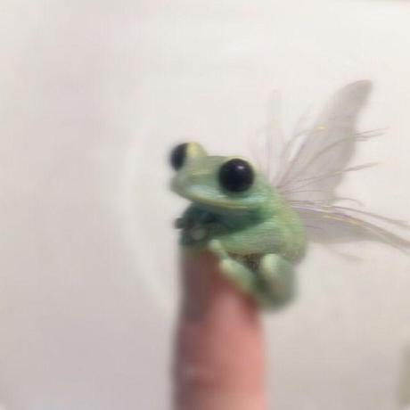 Revjenni Jenni Github