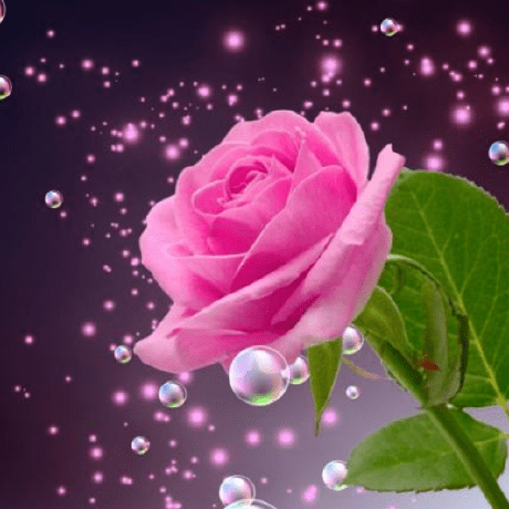 Rojasreev Rojasree V Github