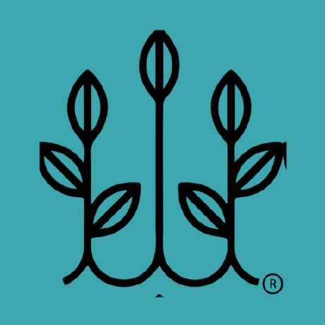 The Salad Days Github