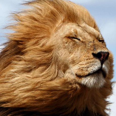 Gearhub 1 Pawarit Jittakul Github