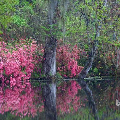 Jesusgrmad Jesus Github