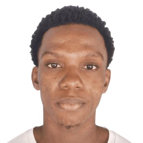 Iriebidasi Irie Bi Gohi Ange Patrick Emmanuel Github