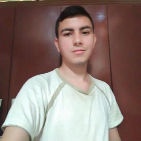 Luiscarloscode Luís Carlos Github