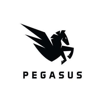 Pegasus 043 Github