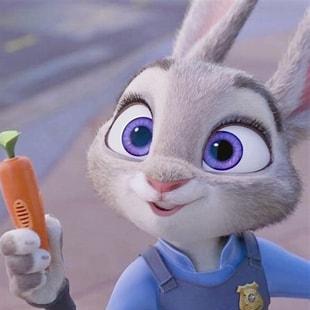 Libo1106 Libo Github - Premium Nature Image Gallery - 8K