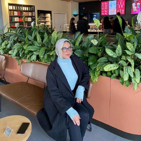 Mayar78 Mayar Hamed Github