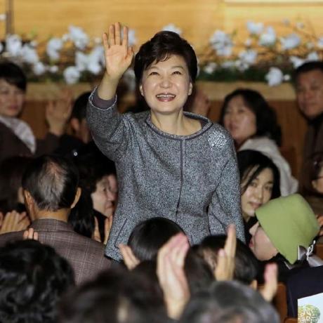 Littlepanws Little Pan Github