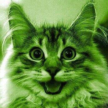 Freddy Cats Freddy Github