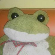 Github Pdmoddingcommunity Pd Loader Loader For Pdaft Click On Wiki