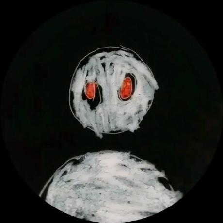 Jim Hub Eng Jim Gonzalez Github