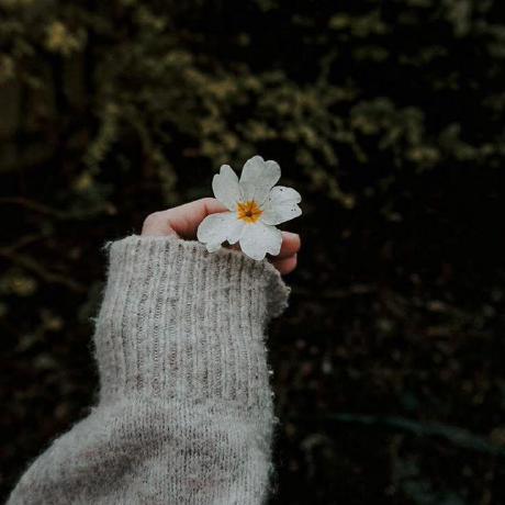 Menna Elbassal Menna Mohammed Github