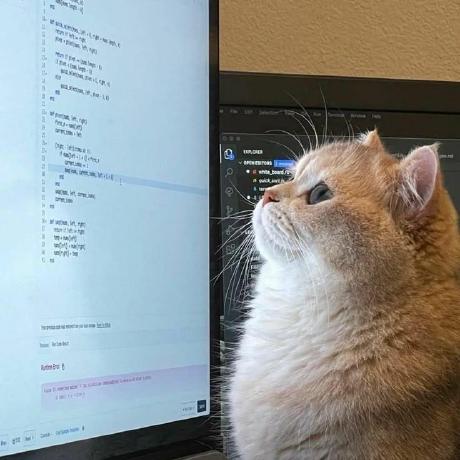 Najwavaida Najwa Vaida Isnani Github