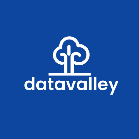 Datavalley Custom It Github