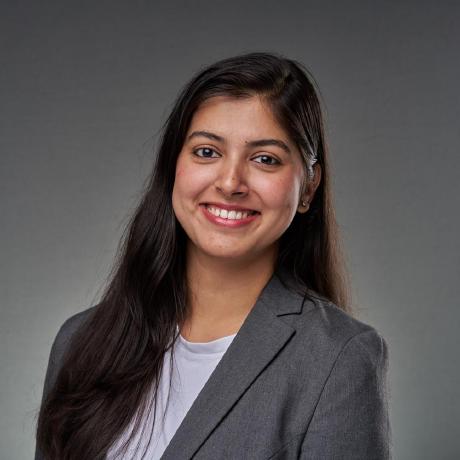 Viru Lily Shrestha Acharya Lily Github