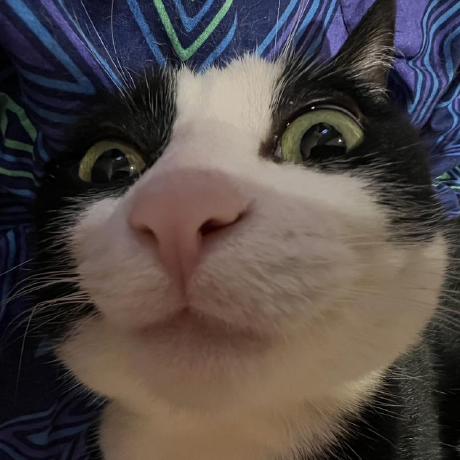 Stanford Zhaolab Github