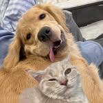 Kevin191211 Kevin Github