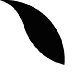 Digital Nature Github