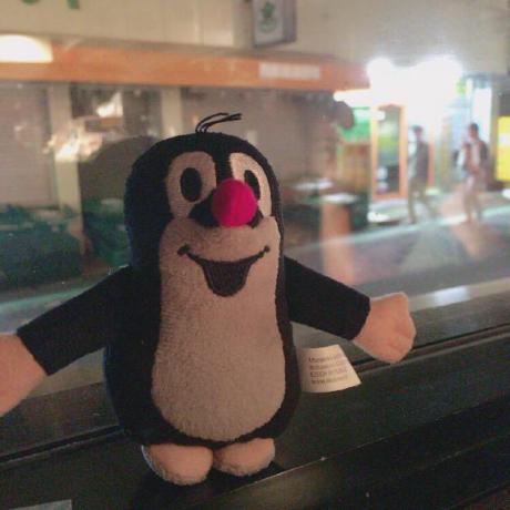 Github Konoui Kurento Coturn Docker - Premium Light Design - Ultra HD