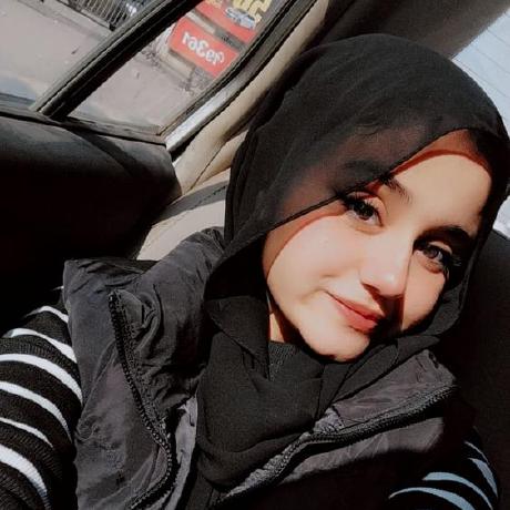 Salma2072007 Salma Adel Github