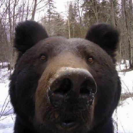 Lebars Lucas Lucas Github