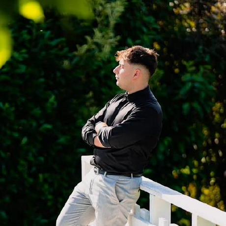 Rares Rijnita Github