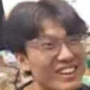 Pka Vision Group Github