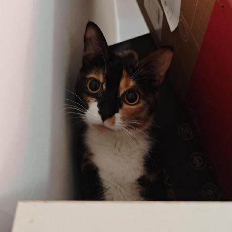 Ear Sleepy Ear Sleepy Repositories Github