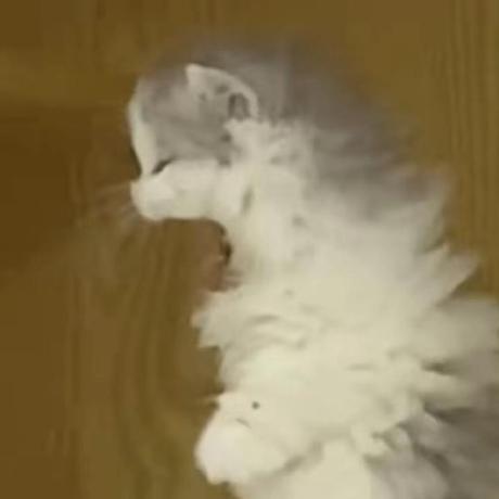 Yanxi Tan Yanxi Github