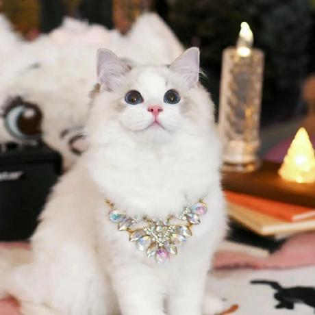 Therealyewen Ye Wen Github