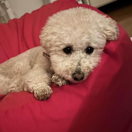 Kousuke 1 Kosuke Github