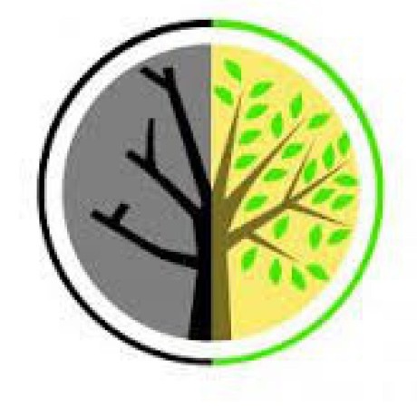 Drewready Drew Ready Github