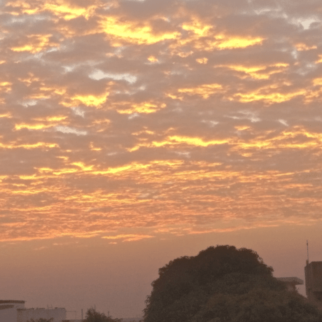 Silentcoder P Github