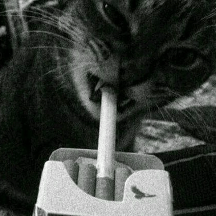 Cooltrappy Trappy Github