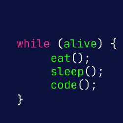 Veera Learn Veera Github