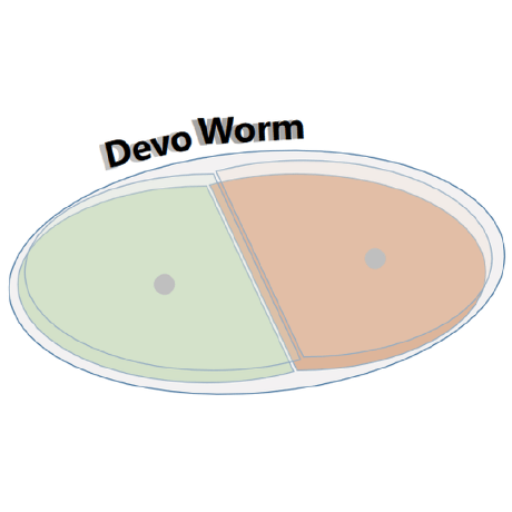 Devoworm Devoworm Group Github