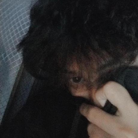 Anakinwalkinthesky Anakin Skywalker Github