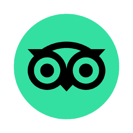 Tripadvisor Github