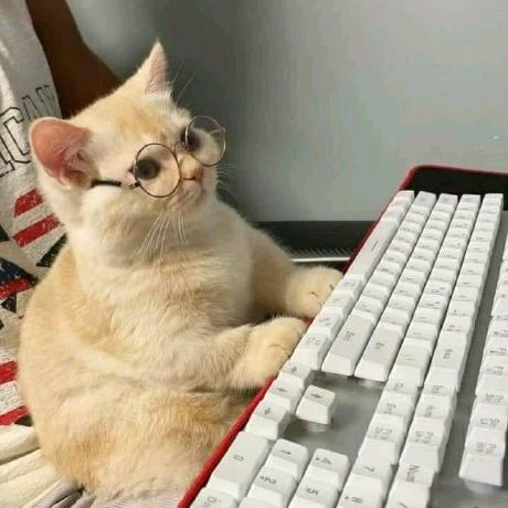Hungphan16 Hùng Phan Github