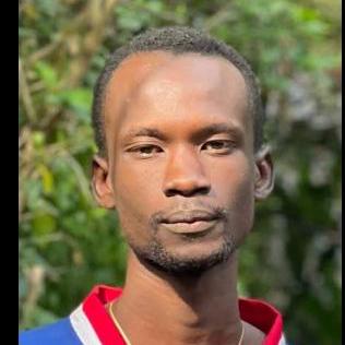 Travischol Travischol Github