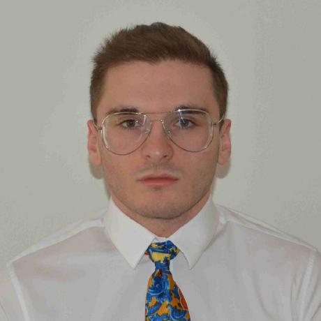 Ginko8192 Federico Ranieri Github