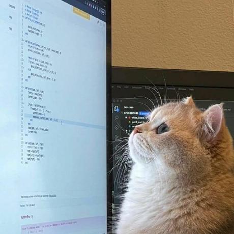 Nataliatechcode Natalia Espinoza Github - Premium Dark Wallpaper Gallery - Retina