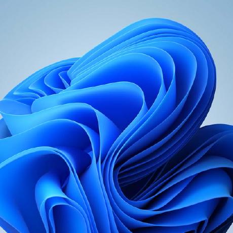 Adam20258749 Adam Github