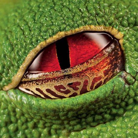 Bor Man Boris Man Github - Dark Image Collection - Ultra HD Quality