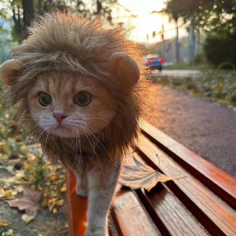 Xx4203 Dan Lo Github - Abstract Illustrations - Gorgeous Ultra HD Collection