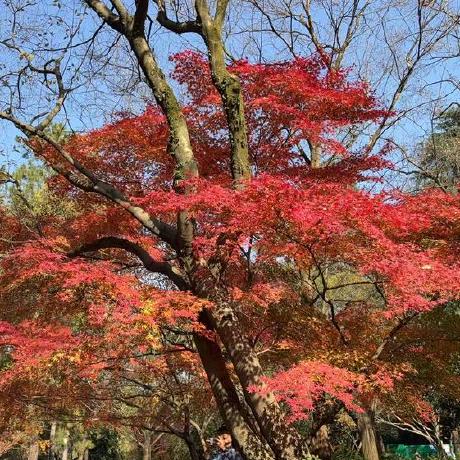 Zitong Yu Zitong Yu Github