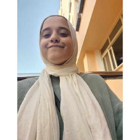 Menna Salama Menna Salama Github