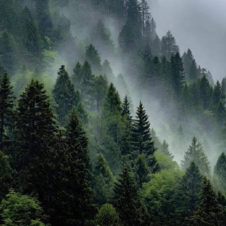 Offlineintelligence Github