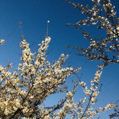 Leeguewon Guewon Lee Github